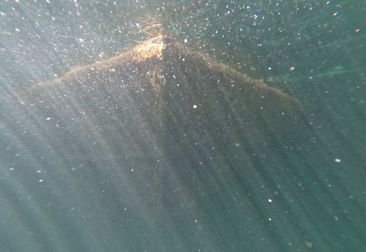 Hull Cleaning - Wet Recovery Solutions